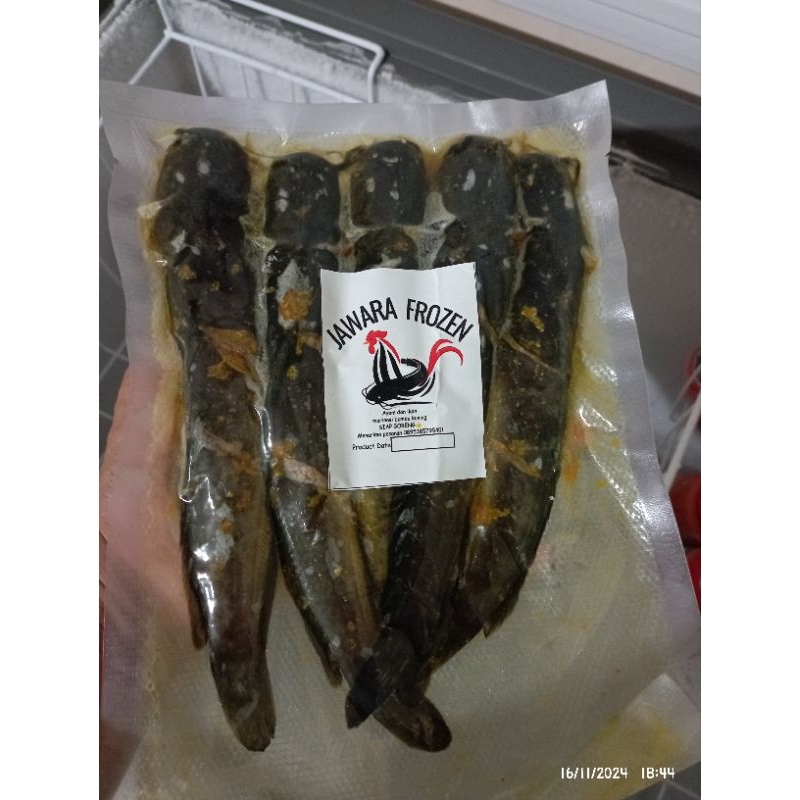 Jual lele frozen marinasi bumbu kuning isi 5/6medium | Shopee Indonesia