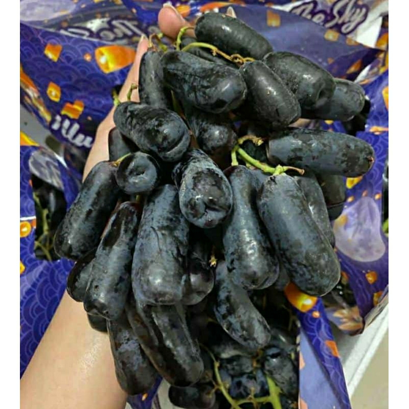 Jual anggur jari 1 kg promo | Shopee Indonesia