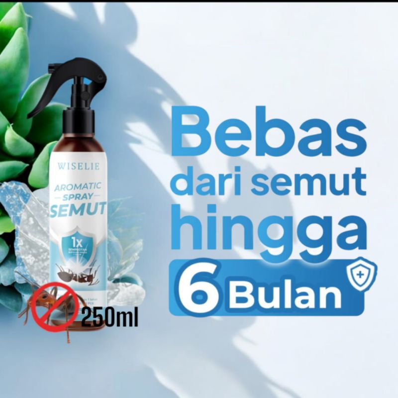 Jual Spray Anti Semut Pembunuh Semut 250ML Penghilang Semut Efektif ...