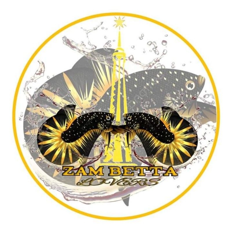 Jual stiker cupang plakat Dumbo ear | Shopee Indonesia