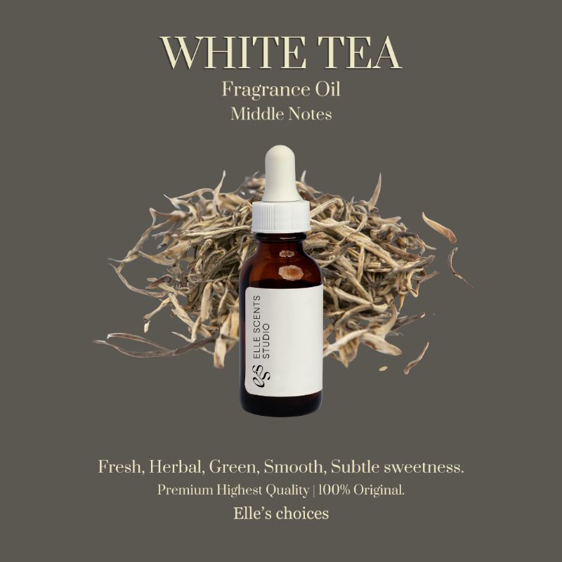 Jual WHITE TEA Fragrance Oil | Shopee Indonesia