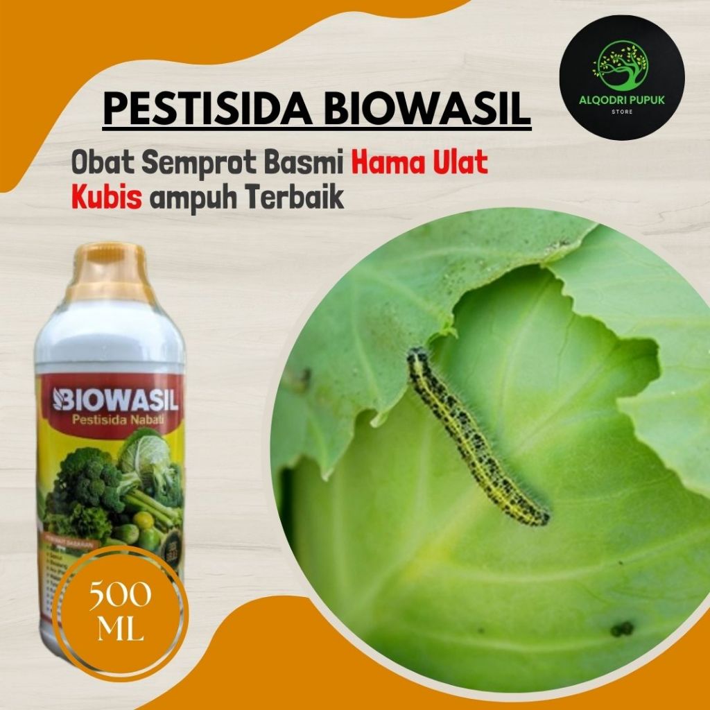 Jual BIOWASIL 500ML Pupuk Pestisida Atasi Hama Ulat Kubis Paling Ampuh - Obat Pembasmi Hama Ulat ...