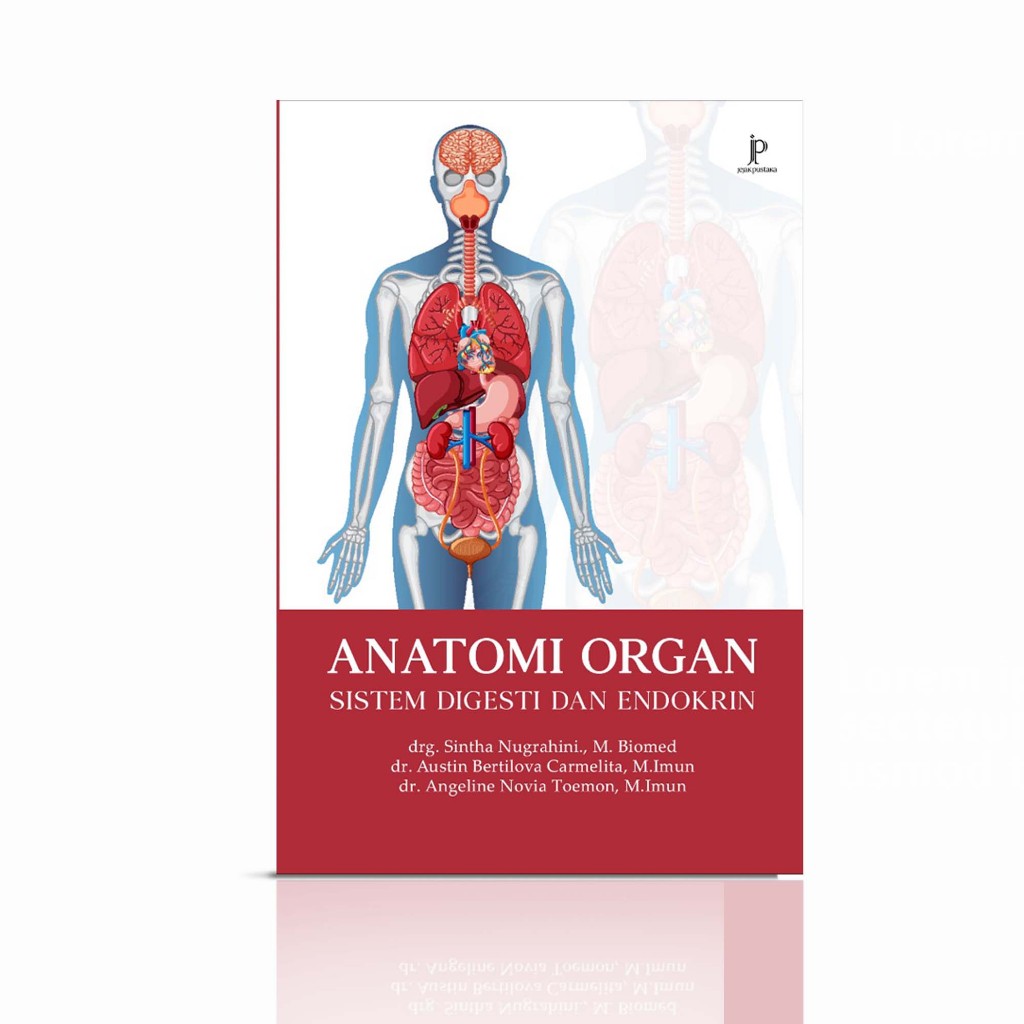 Jual Anatomi Organ Sistem Digesti dan Endokrin | Shopee Indonesia