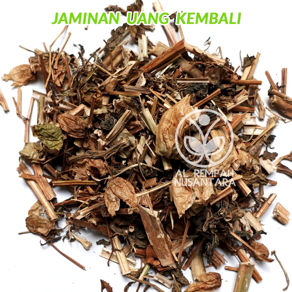 Jual Daun Ciplukan 500gr Kering - Buah Cecendet Bersih | Shopee Indonesia