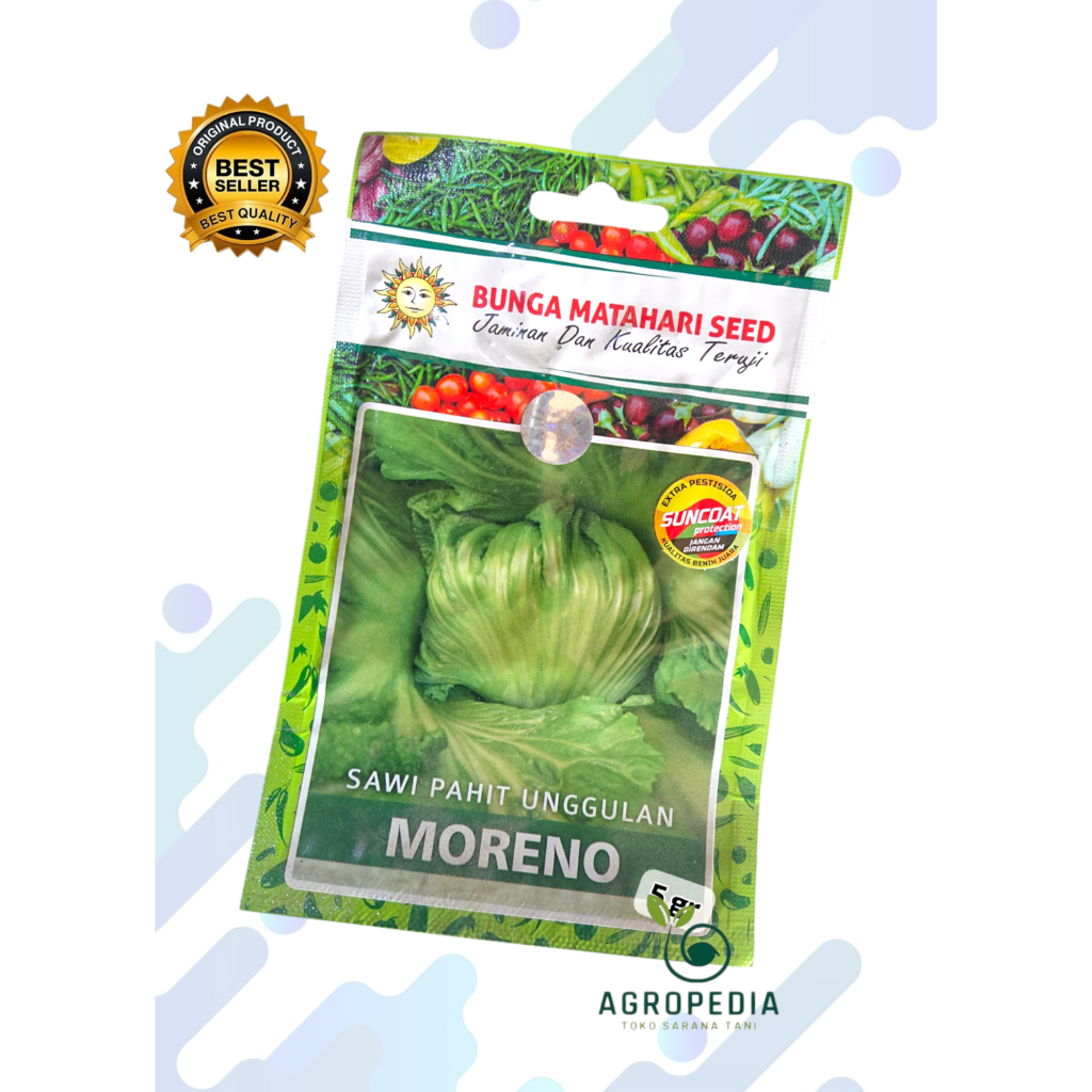 Jual Benih Sawi Moreno ) Bibit Unggulan @5 gram -MATAHARI SEED | Shopee ...