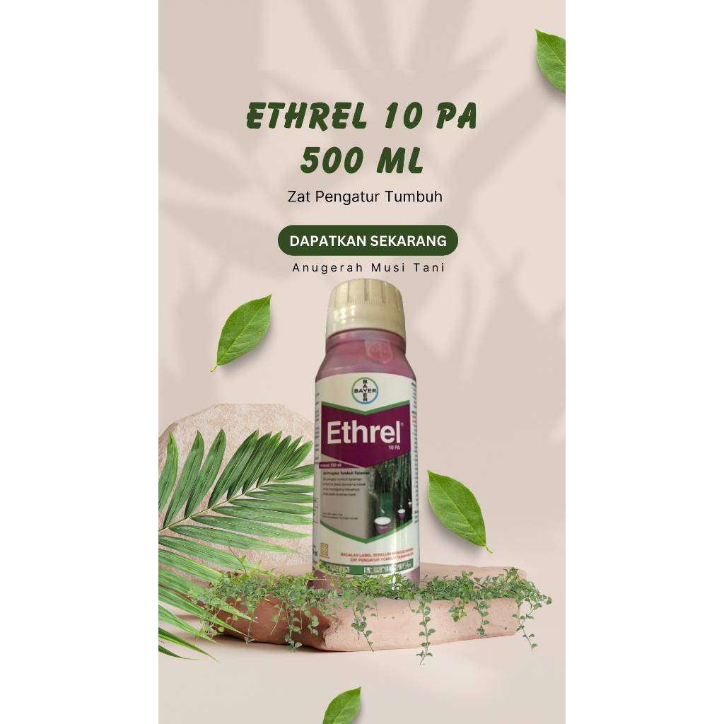 Jual Ethrel 10 PA (500 ml) - Zat Pengatur Tumbuh | Shopee Indonesia
