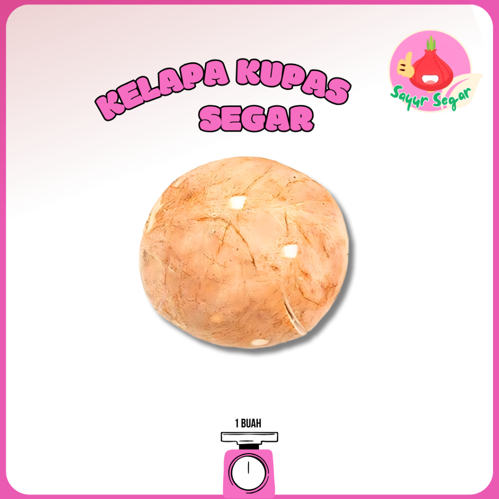 Jual Sayur Segar - Kelapa Kupas Bulat/Peeled Coconut 1 Butir | Shopee ...