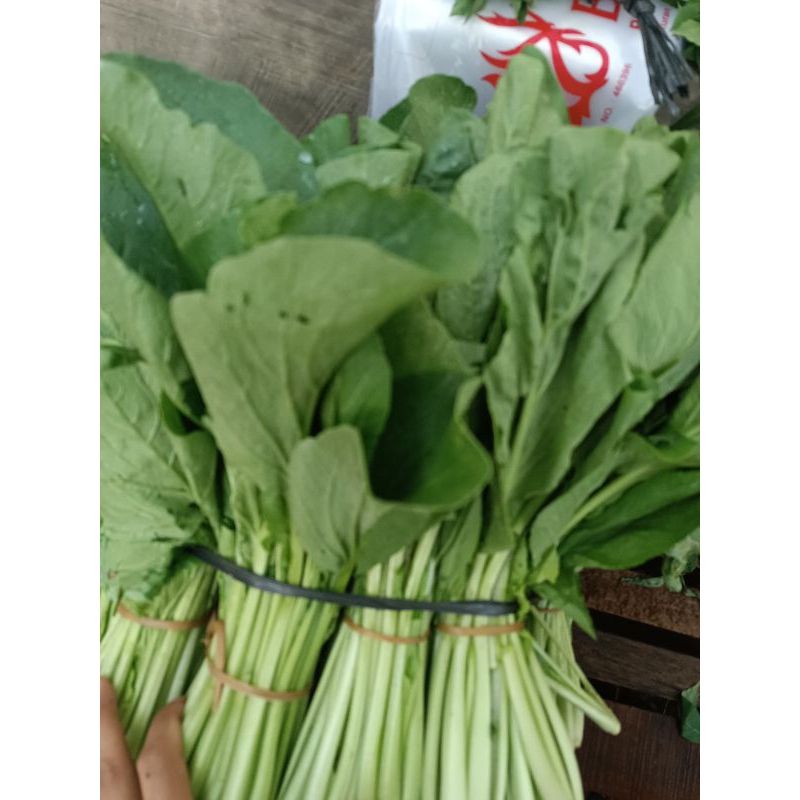 Jual Caisim / Sawi hijau 1 ikat kirim instan | Shopee Indonesia
