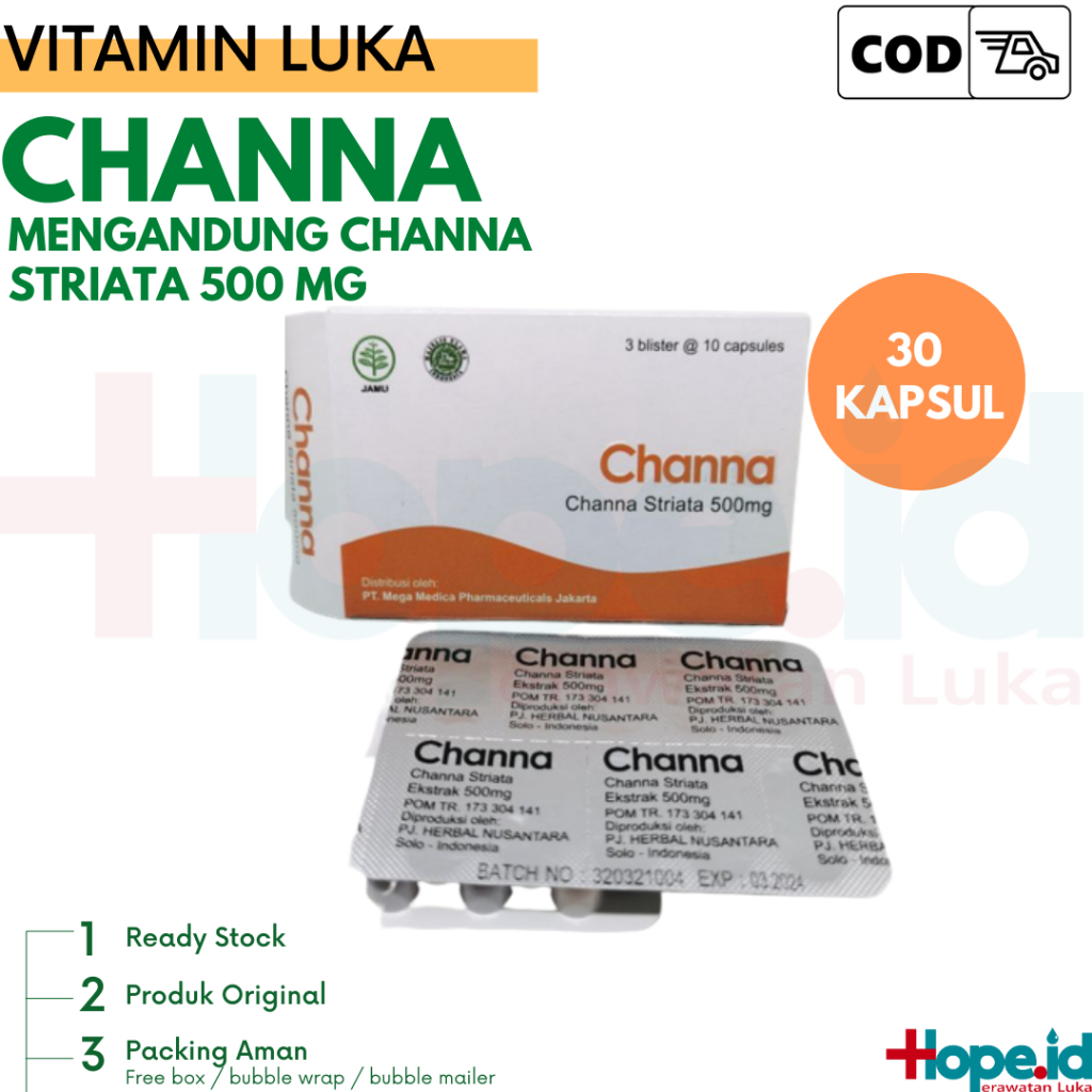 Jual Channa Kapsul Albumin Suplemen Penyembuh Luka | Shopee Indonesia