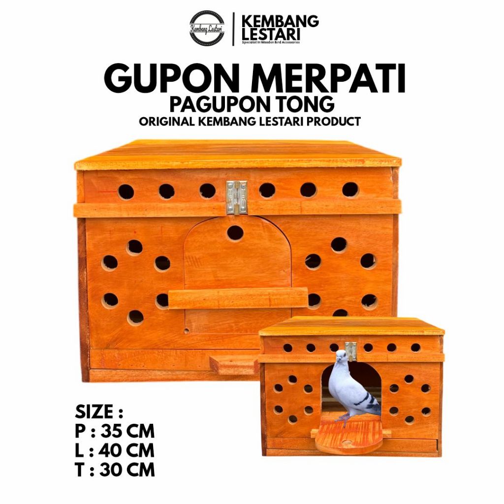 Jual GUPON BURUNG MERPATI PAGUPON TONG DARA | Shopee Indonesia
