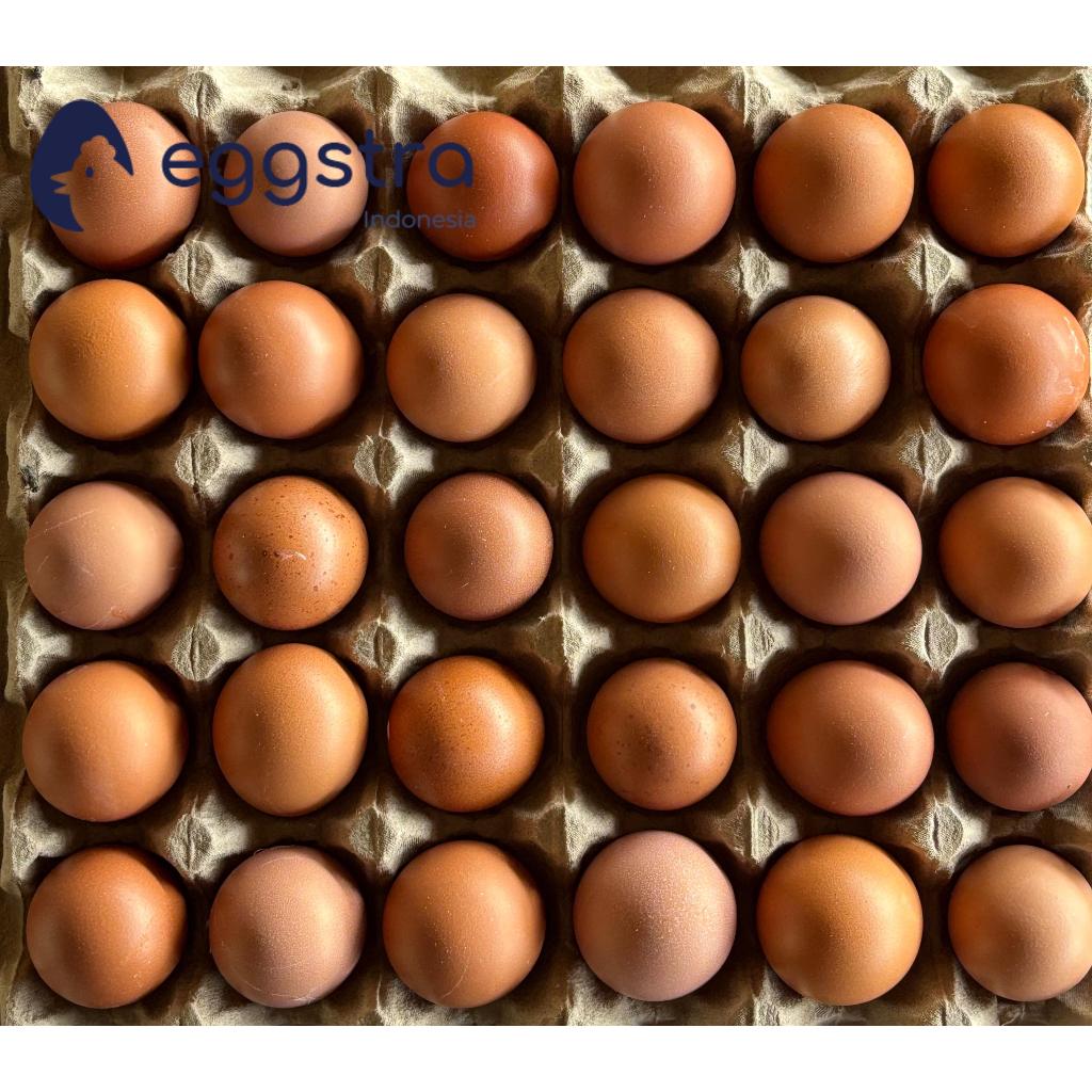 Jual Eggstra Telur Ayam Negeri 1 Tray isi 30 Butir | Shopee Indonesia
