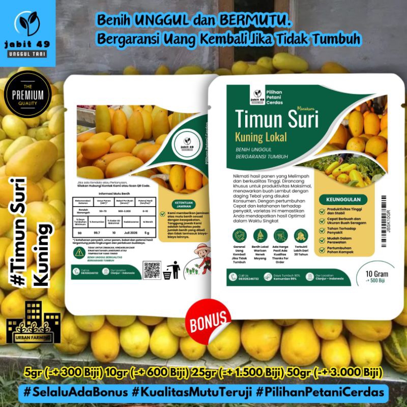 Jual JaBit - 500 Biji Benih Unggul Timun Suri Kuning Lokal Bibit Unggul ...