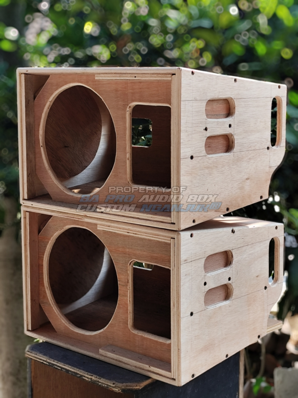 Jual Box Speaker LINE ARRAY CUSTOM 10 INCH SINGLE + TWEETER | Shopee Indonesia