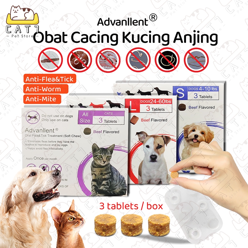 Jual CAT Obat Cacing Kucing Anak Kitten Ampuh Murah Tablet Ori Stop ...
