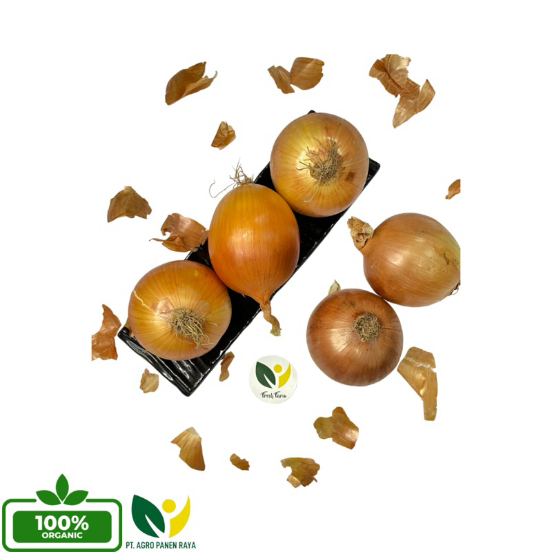 Jual Fresh Bawang Bombay Besar Super Premium 60/80 | Shopee Indonesia