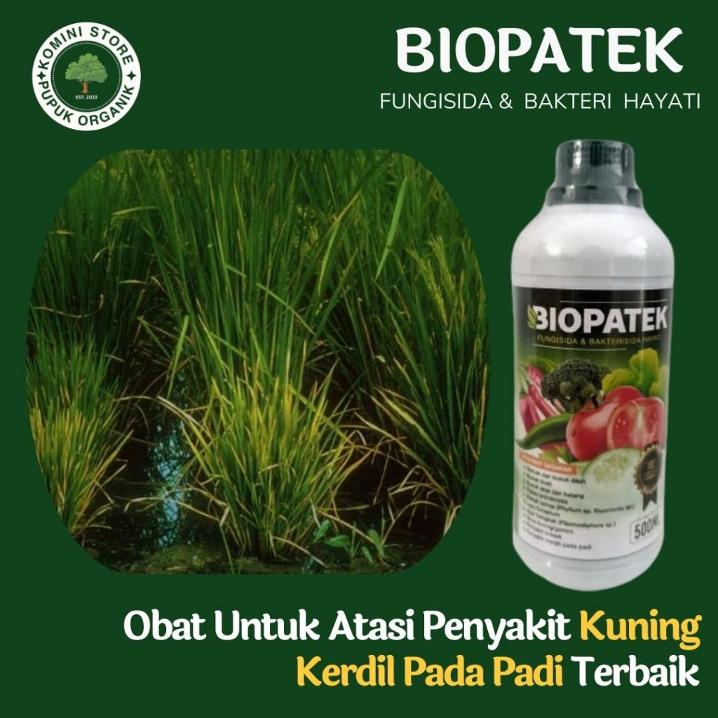 Jual Obat untuk menekan penyakit KERDIL KUNING pada padi - BIOPATEK 500ML - Pupuk fungisida anti ...