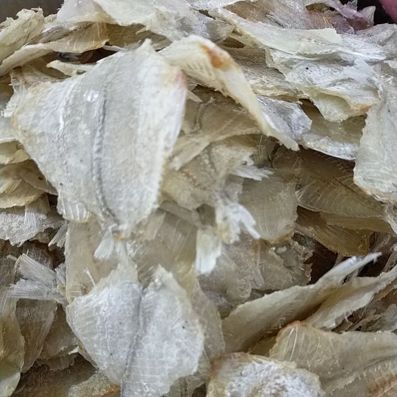 Jual Pakang Filet Bersih | Shopee Indonesia