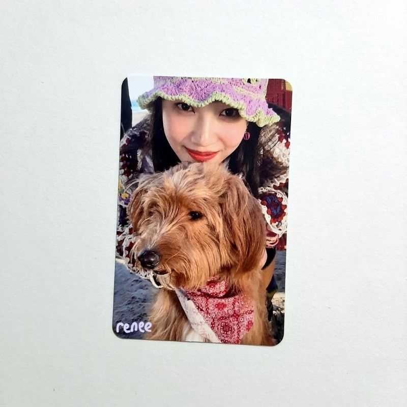 Jual Joy RED VELVET Hello Benji Photocard | Shopee Indonesia