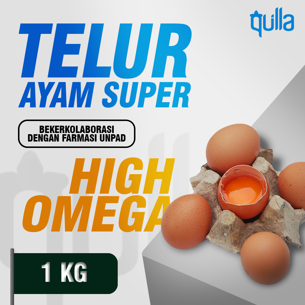 Jual Telor Telur ber Omega 3 Protein Tinggi Premium Grade A 1 Kg Orange ...