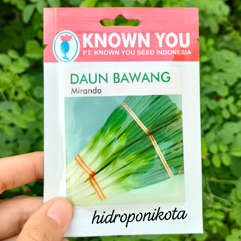 Jual KYS - Benih Daun Bawang/Bawang Pre Fragrant/Freda/Miranda isi 5 ...