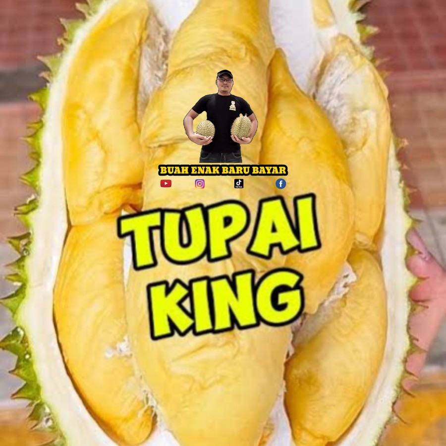 Jual Bibit Durian Tupai King / Tupaiking / Durian Rare | Shopee Indonesia