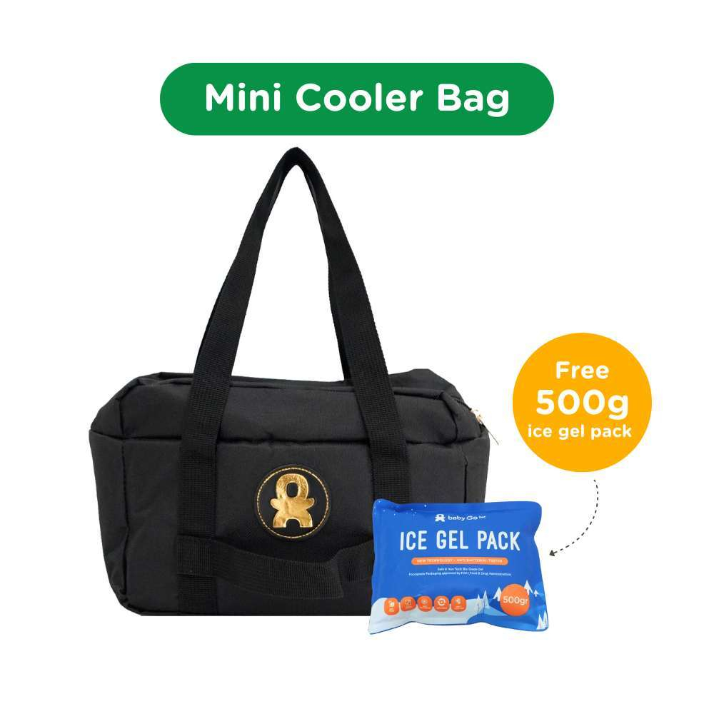 Jual BabyGO Inc Mini Cooler bag - Black (Free Ice gel 500gr) | Shopee ...