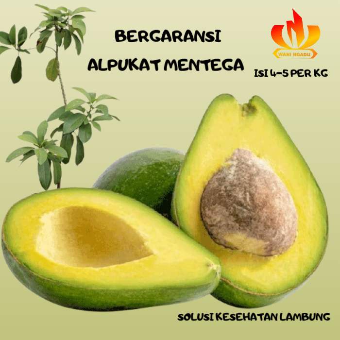 Jual Alpukat Mentega 1 Kg Isi 3–5 Murah Rasa Manis dan Lembut Bisa COD ...