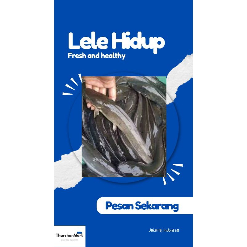 Jual Lele Hidup Fresh 1 kg | Shopee Indonesia