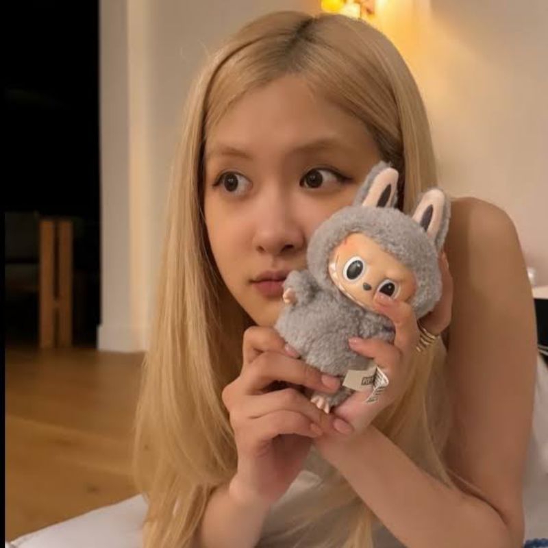 Jual Labubu ORI Pop Mart | V1 Macaron Sesame Bean | V2 Have A Sit Baba ...