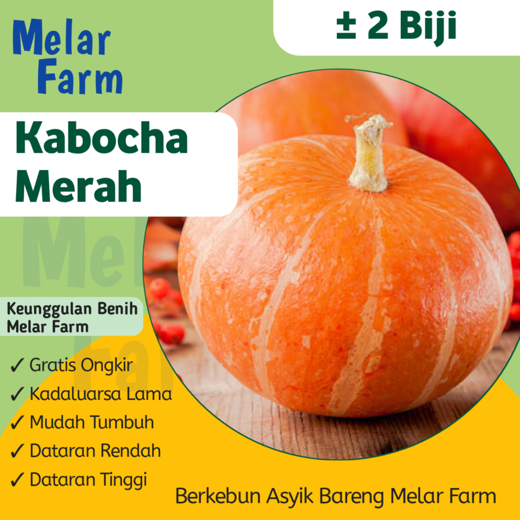 Jual Melar Farm 2 Biji - Benih Labu Merah RED LAMP F1 | Shopee Indonesia
