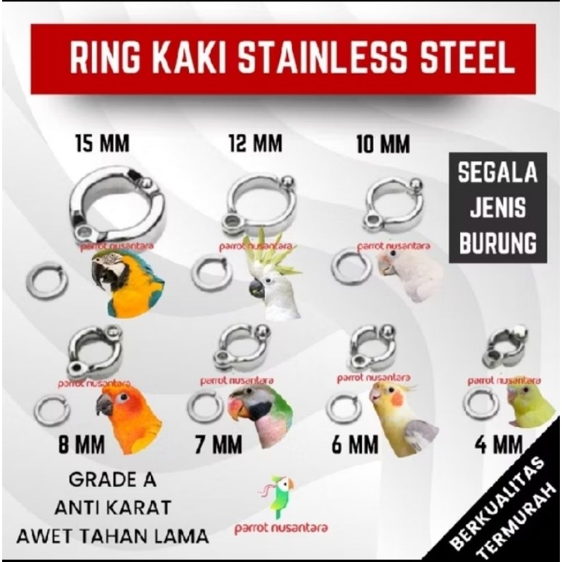 Jual RANTAI DAN BORGOL /RANTAI PARUH BENGKOK/RANTAI BURUNG NURI/RANTAI ...