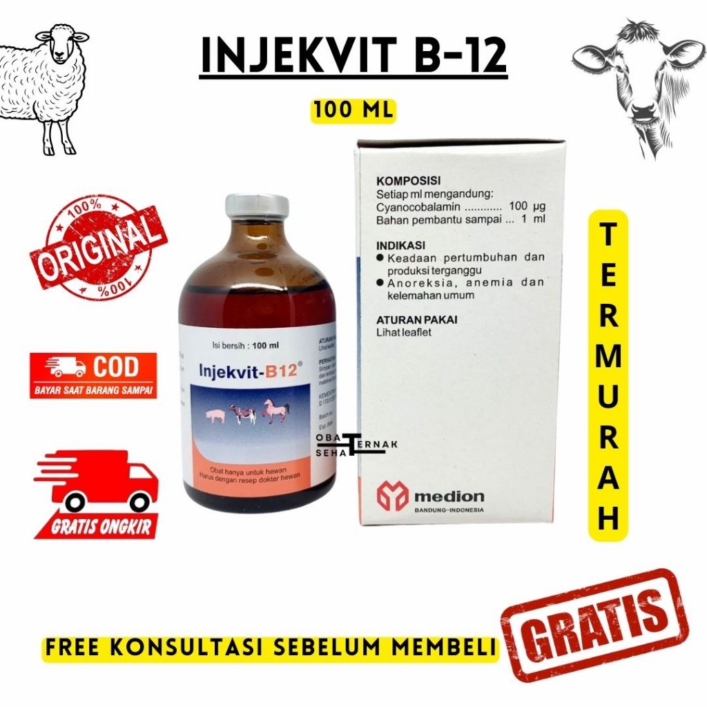 Jual INJEKVIT B12 100 ml - MEDION Obat B12 Untuk Perbaiki Kondisi Tubuh ...