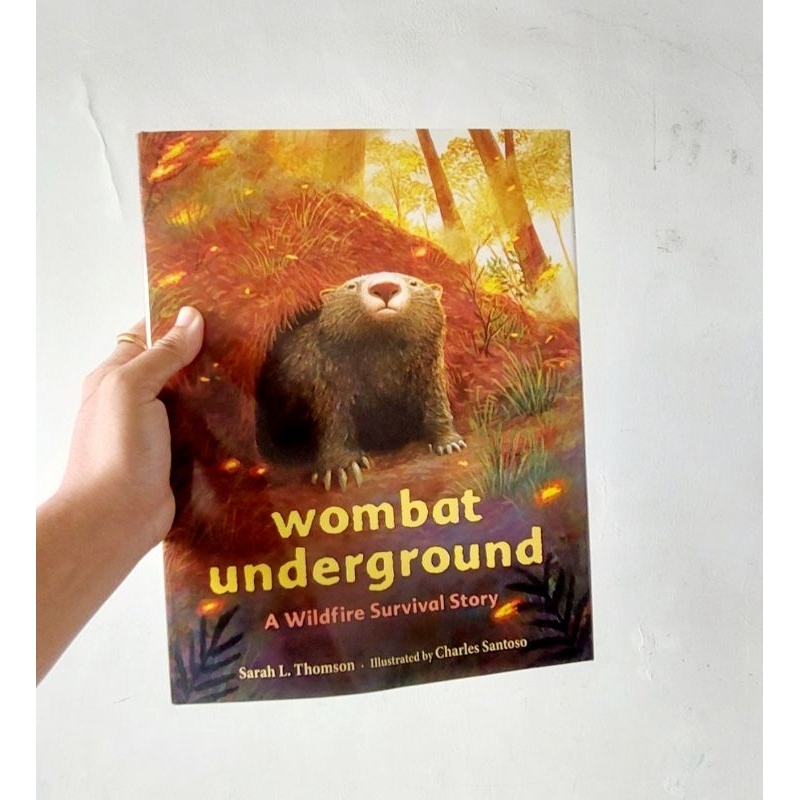 Jual wombat underground / story book / buku cerita / children book ...