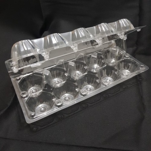 Jual Mika Telur / Tray Mika / Egg tray isi 5 Sudah Ada Pengunci Plastik ...
