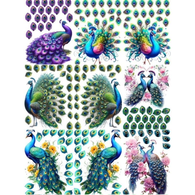 Jual Topper Merak untuk buket / seserahan part 2 | Shopee Indonesia