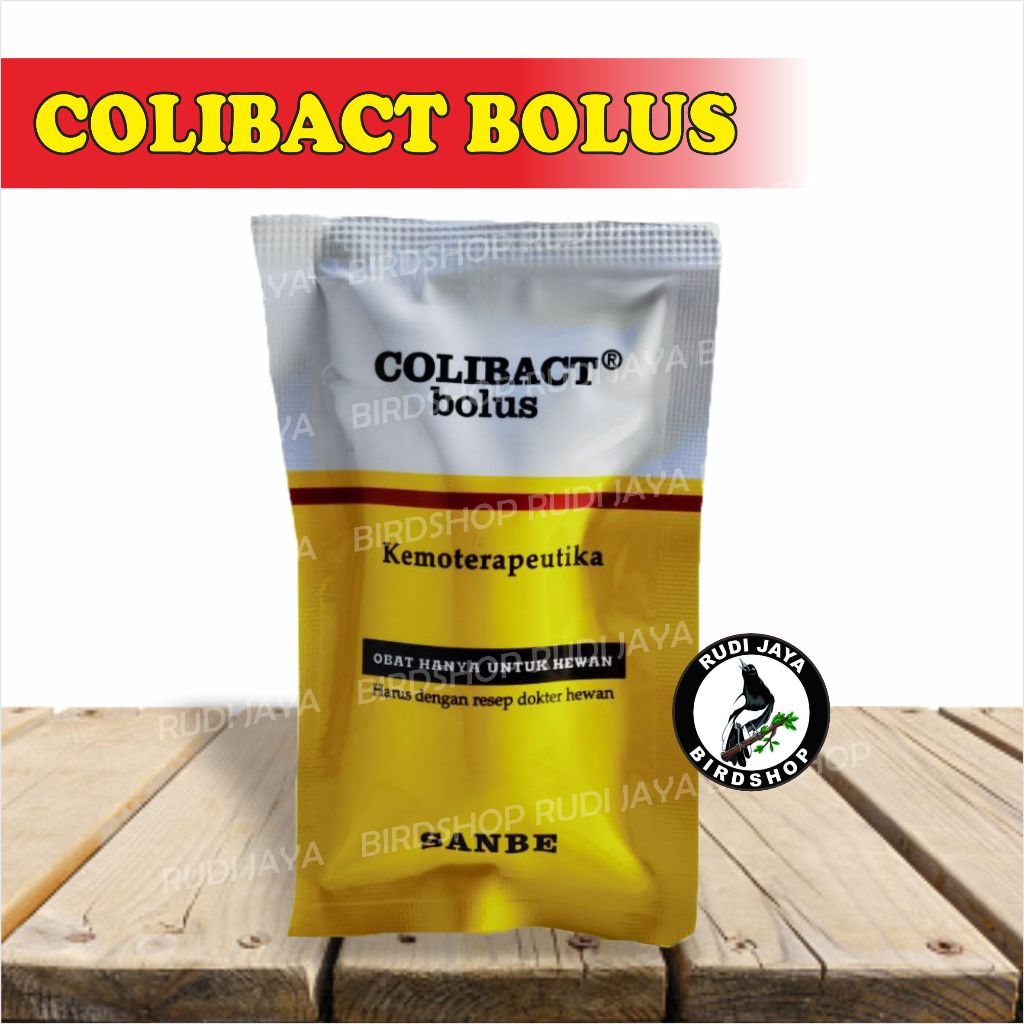 Jual COLIBACT BOLUS 1 BOLUS SANBE OBAT SAPI KAMBING DOMBA KELINCI SAKIT ...