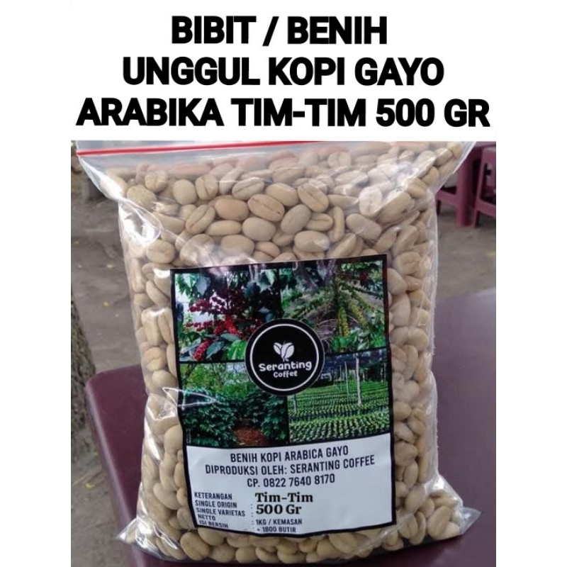 Jual BIBIT / BENIH KOPI ARABIKA GAYO ( TIM-TIM ) 500 GR COD | Shopee ...