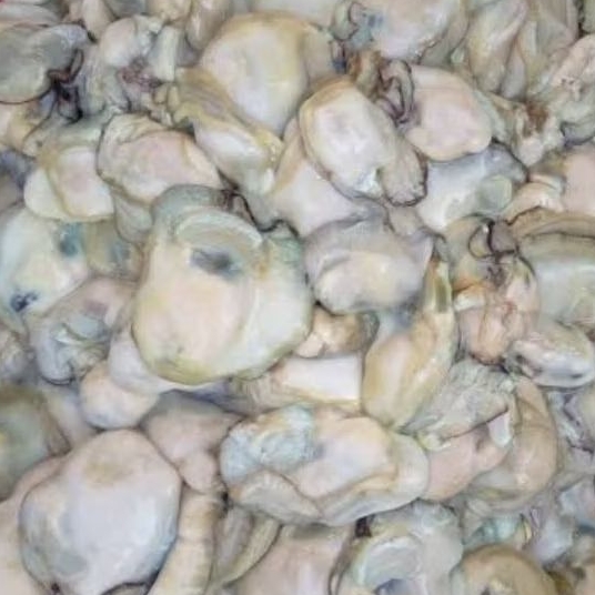 Jual Oyster Daging Kerang Tiram Kupas Segar | Shopee Indonesia
