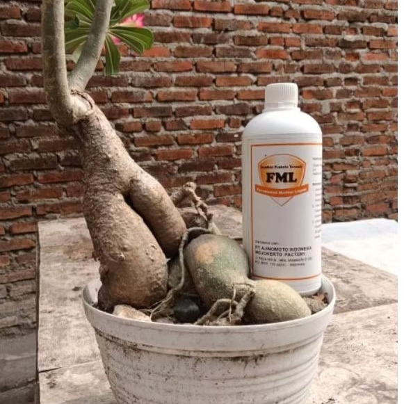 Jual FML 1 Liter | Shopee Indonesia