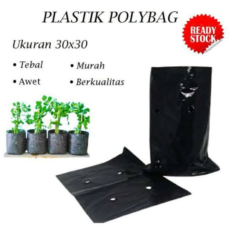 Jual polibag 30X30 cm cocok untuk bibit tanaman bahan tebal isi 50 ...
