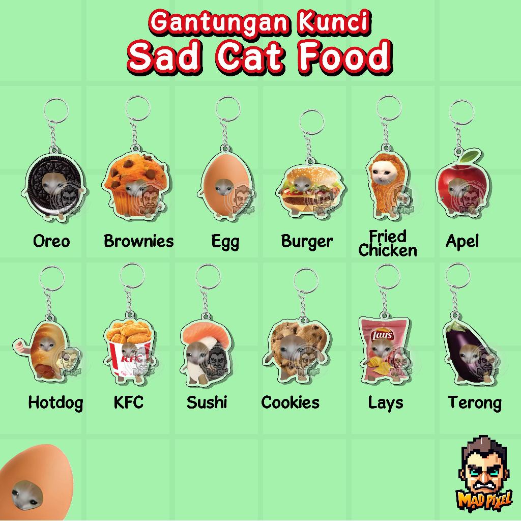Jual Gantungan Kunci Meme Sad Cat Kucing Akrilik / Acrylic KeyChain ...