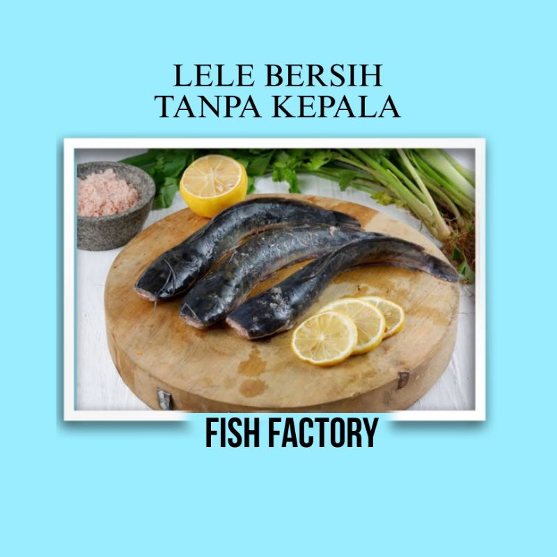 Jual IKAN LELE BERSIH / LELE TANPA KEPALA / IKAN LELE | Shopee Indonesia
