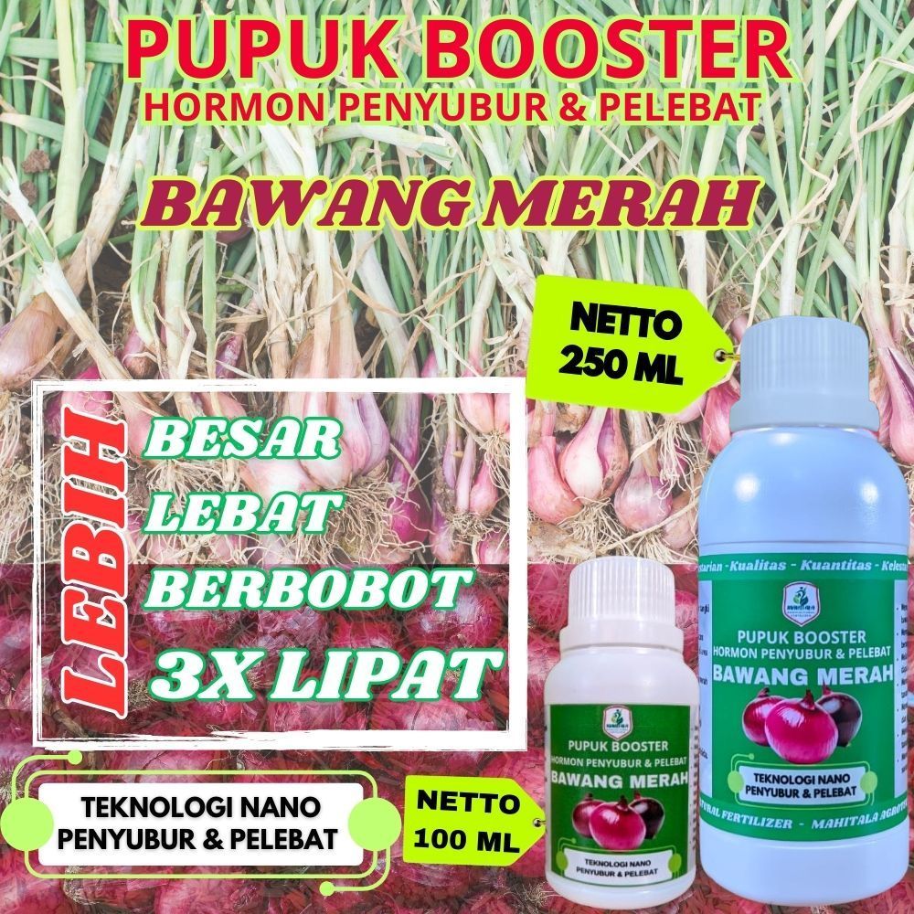 Jual Booster Bawang Merah Nutrisi Plus Anti Hama Obat Bawang Merah ...