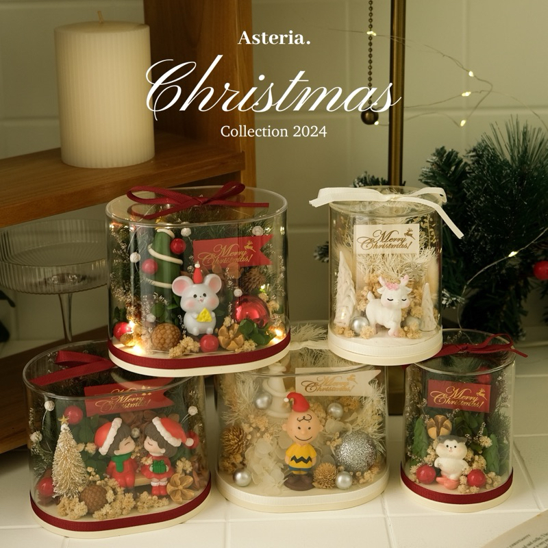 Jual Christmas Collection 2024 - Asteria | Shopee Indonesia