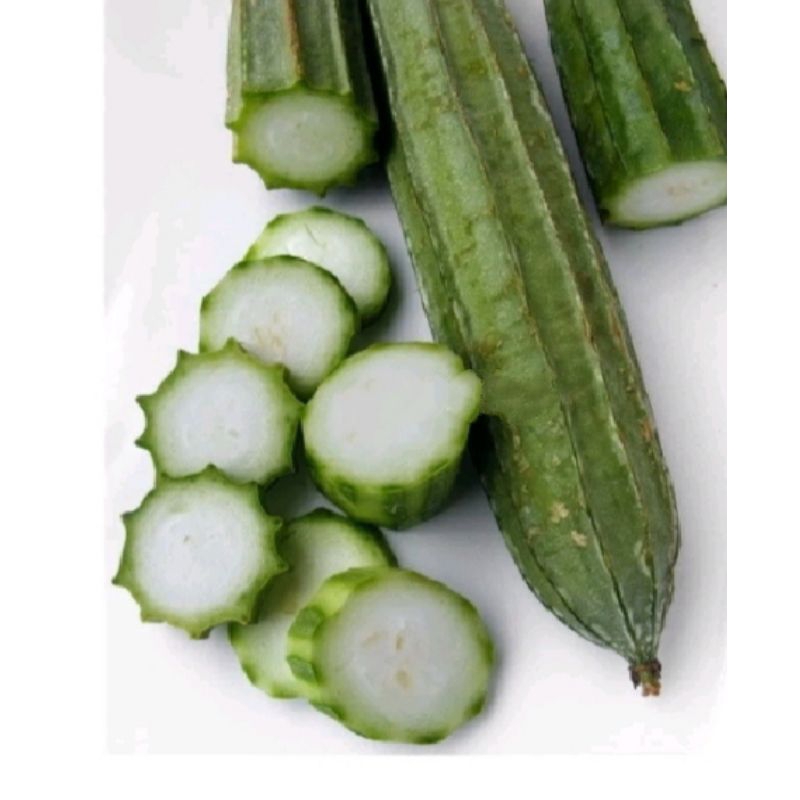 Jual Sayur Oyong/Sayur Gambas 500 gr- 1 kg | Shopee Indonesia