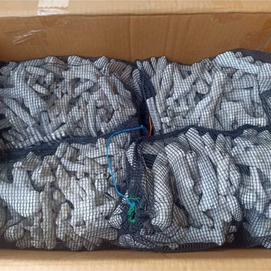 Jual Karang Jahe 3kg Media Filter Kolam Koi + Waring | Shopee Indonesia