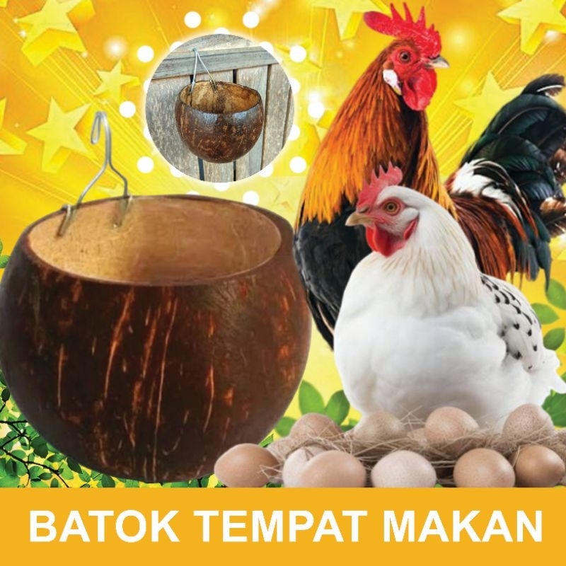 Jual BATOK KELAPA - Tempat Makan Minum Ayam Aduan Ayam Hias Burung ...