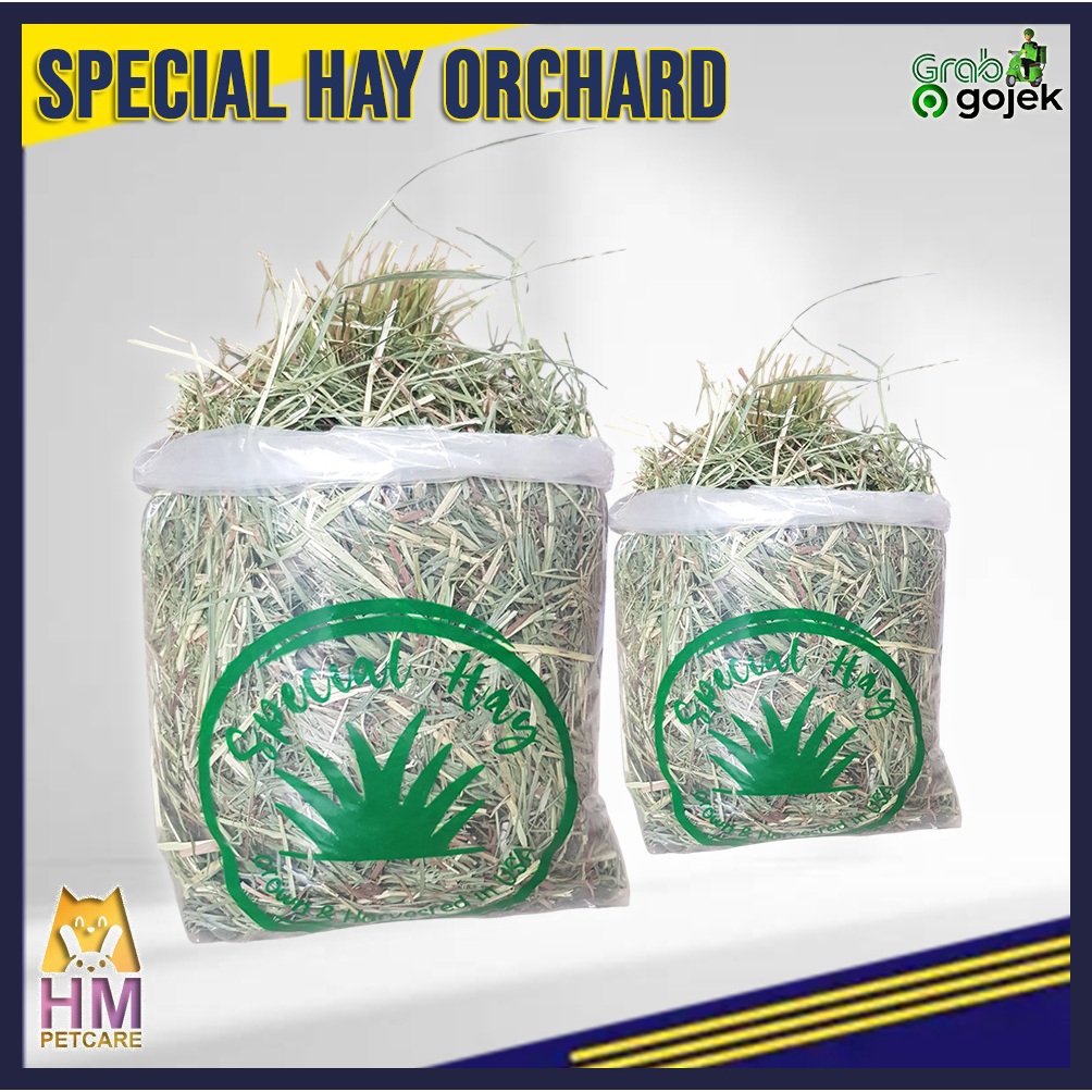 Jual Special Hay Orchard 1 kg | Rumput Hay Makanan kelinci marmut ...
