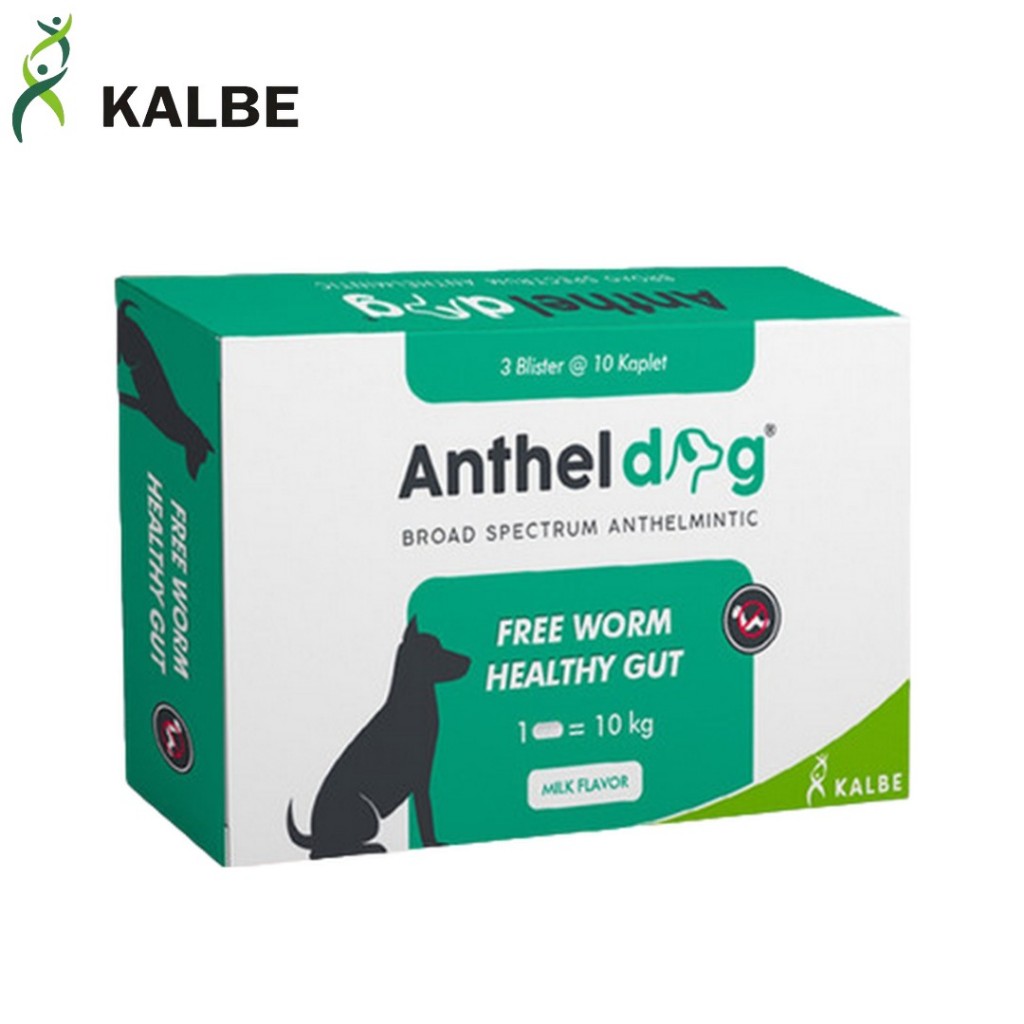 Jual Anthel Dog 1 Box Obat Cacing Anjing by Kalbe Original | Shopee ...