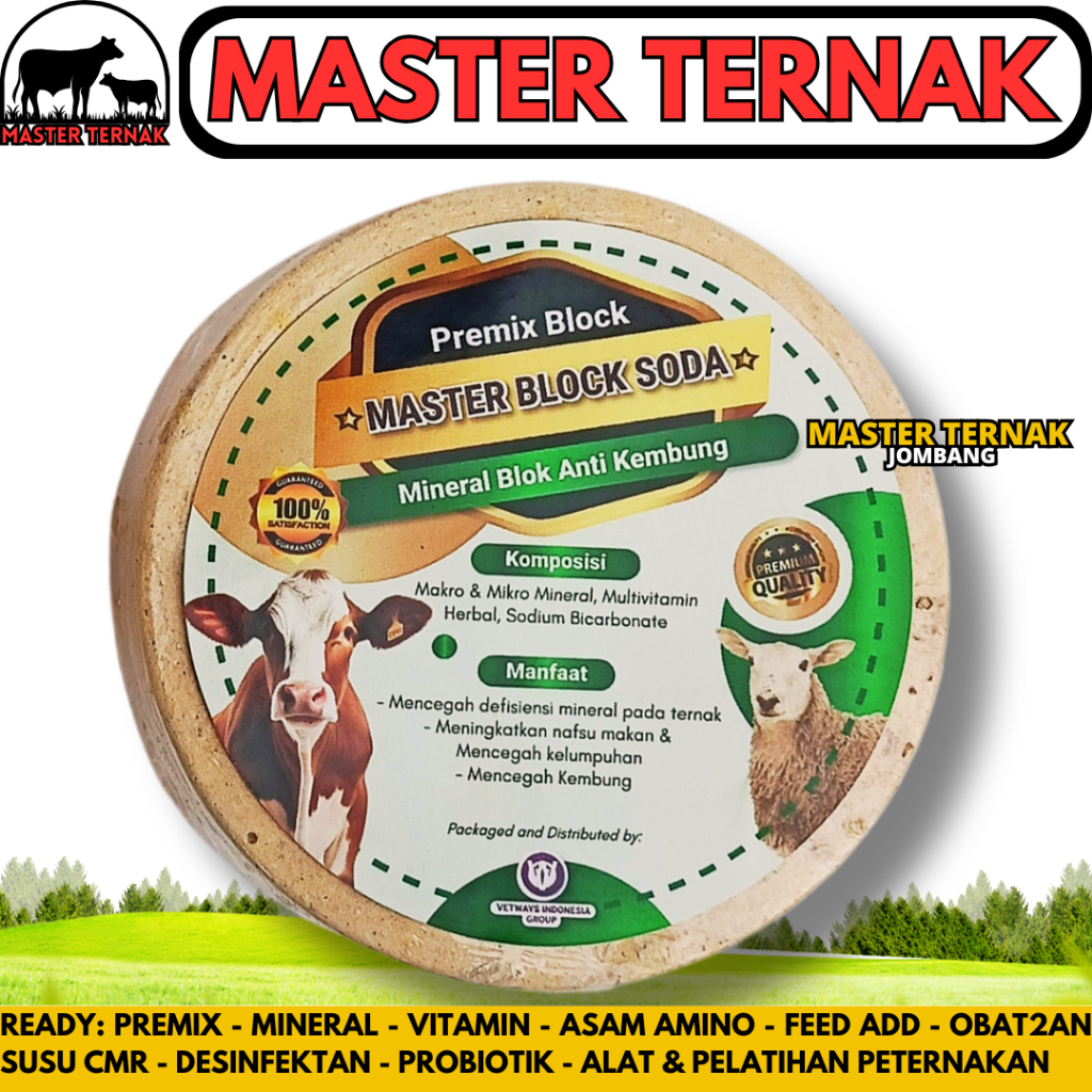 Jual MASTER BLOK SODA 500 GRAM - Mineral Blok Anti Kembung untuk Anak ...
